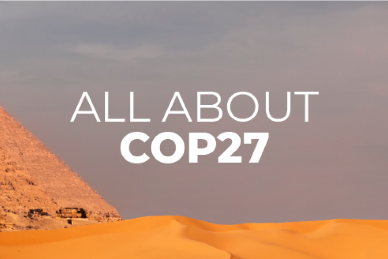 TSC.ai | Blog Post | The COP27 Cheat Sheet